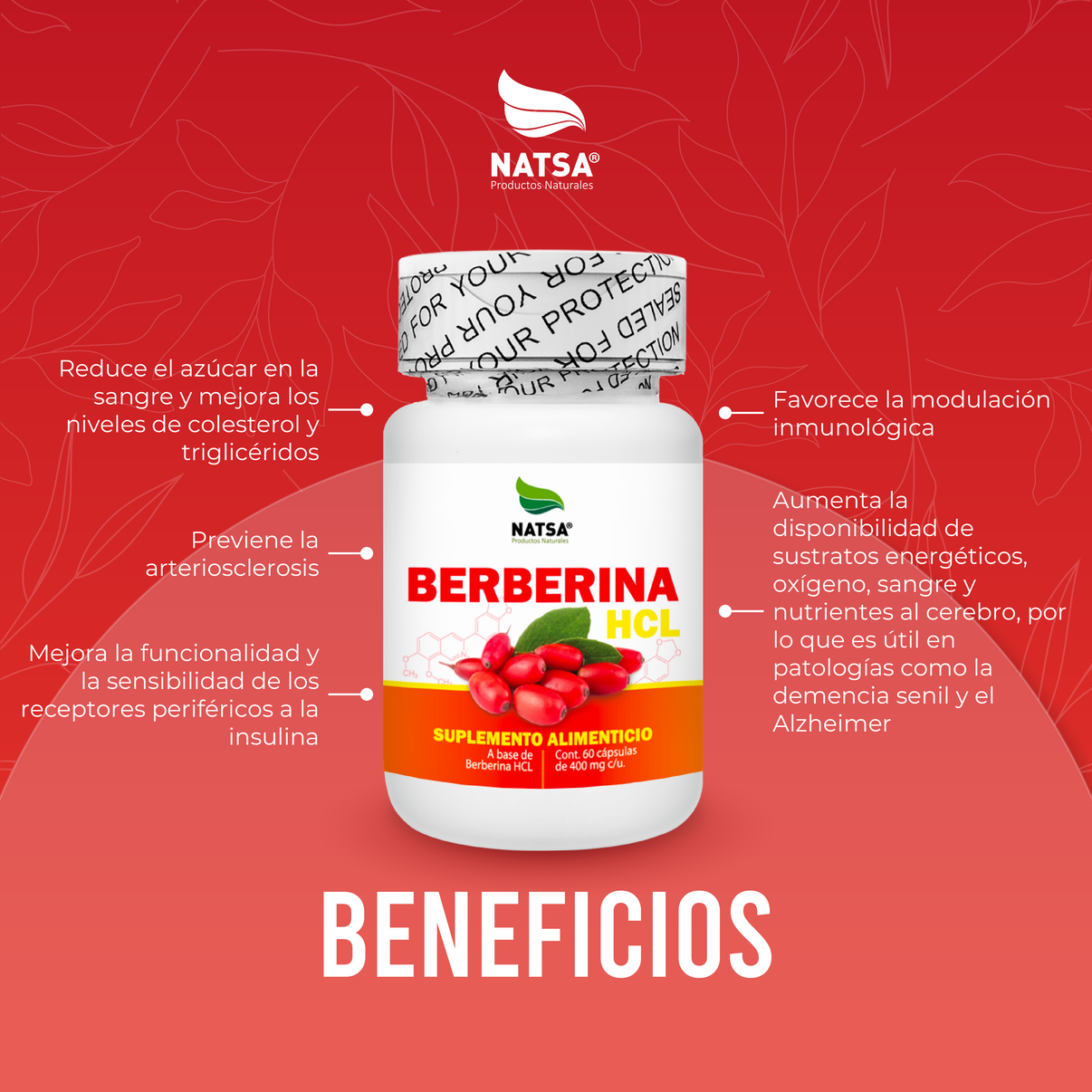 Berberina HCl 60 cápsulas – NATSA Productos Naturales